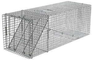 Live Animal Traps | Sunset Feed & Supply Miami
