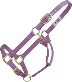 Weaver Halters - New Colors! | Sunset Feed & Supply